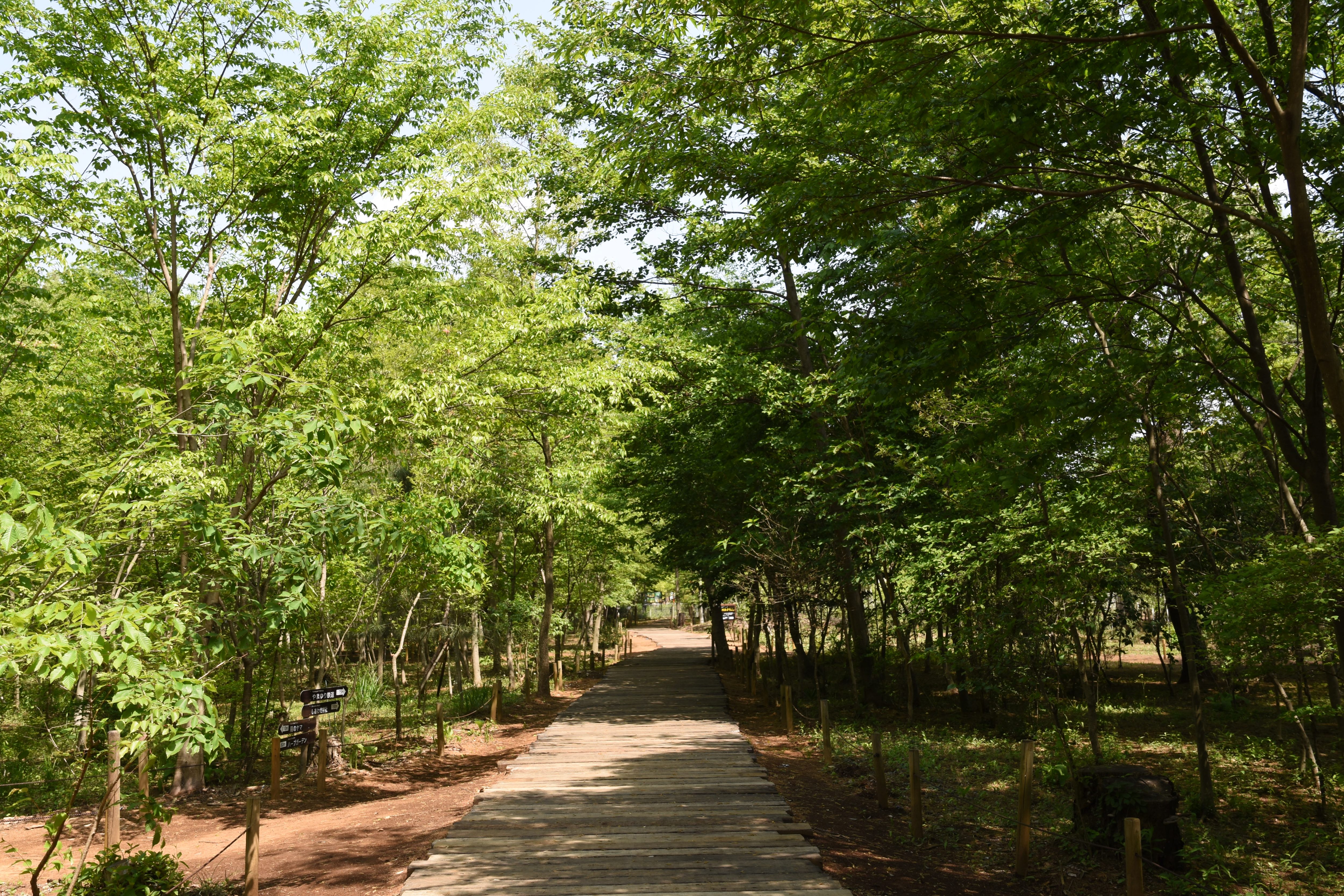 March–June 2026: Joint Facility Tour and New Training Program ...