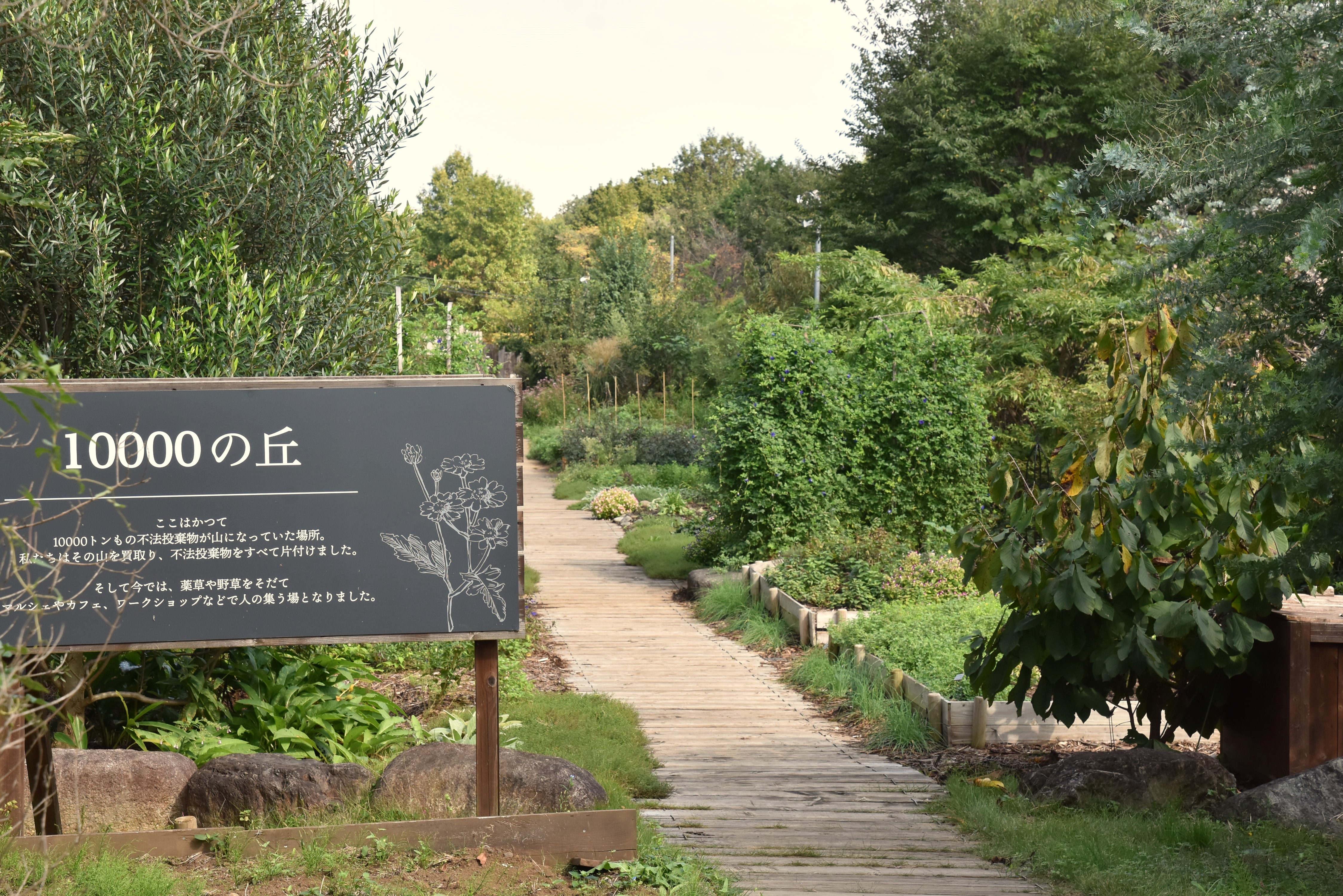 March–June 2026: Joint Facility Tour and New Training Program ...